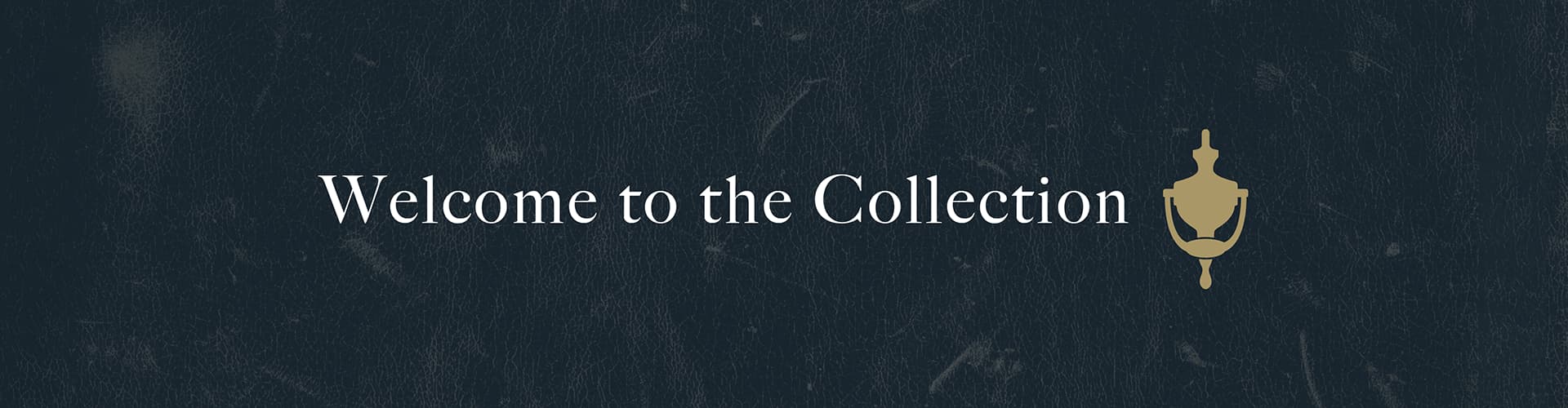 Welcome to The Chapter Collection